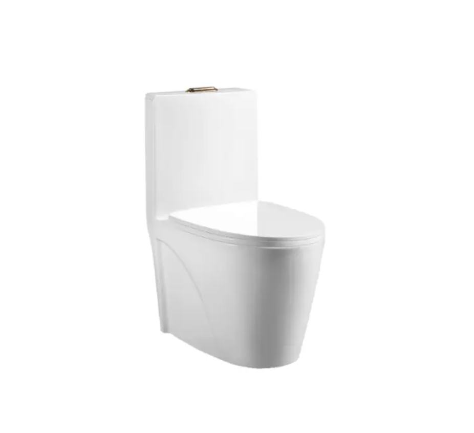WC ONE PIECE SAN PIETRO (PBK110) TRAMPA OCULTA BLANCO de TENDENZZA ...